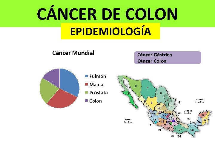 GASTROENTEROLOGA CNCER DE COLON RECTO Y OTROS TUMORES