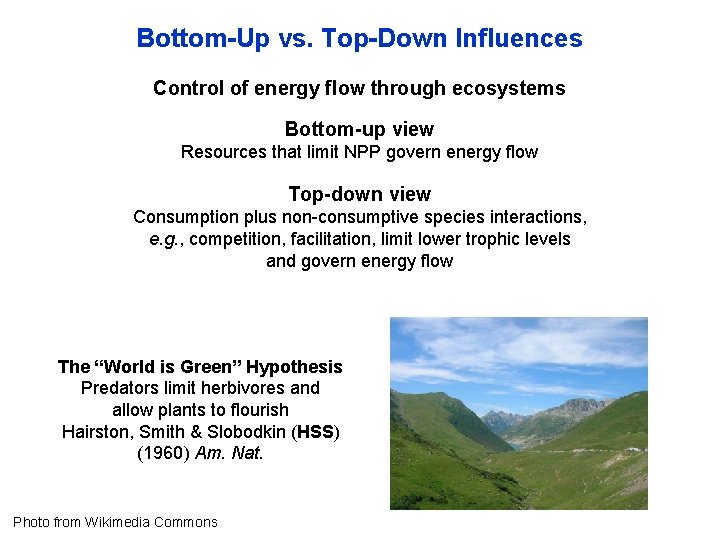 Energy Flow Food Webs Left Image from Wikimedia