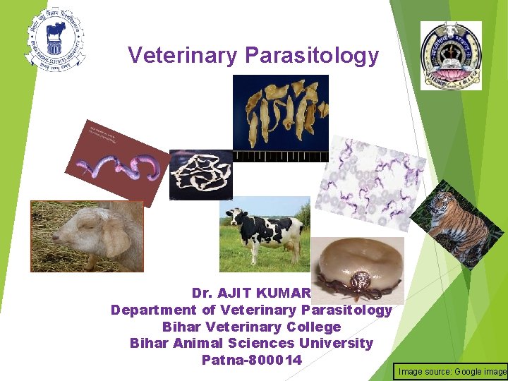 Veterinary Parasitology Dr AJIT KUMAR Department of Veterinary
