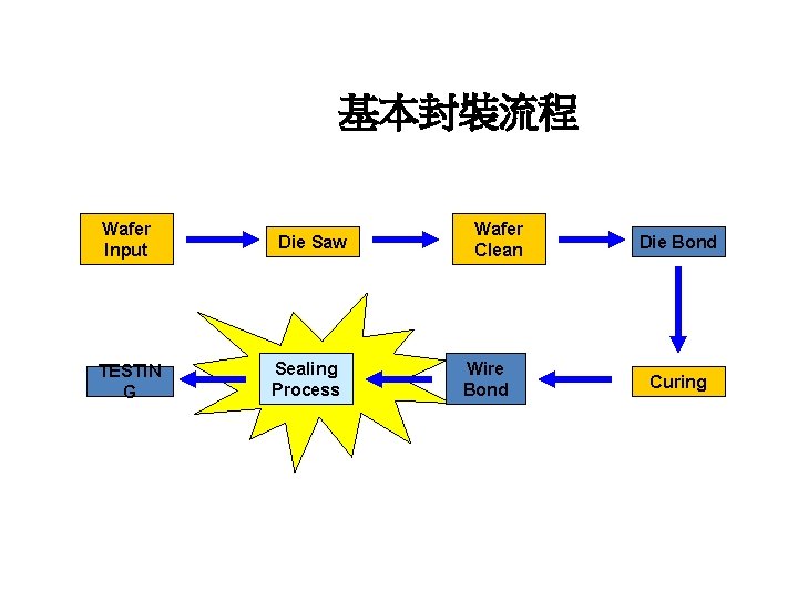 Wafer Input TESTIN G Die Saw Sealing Process