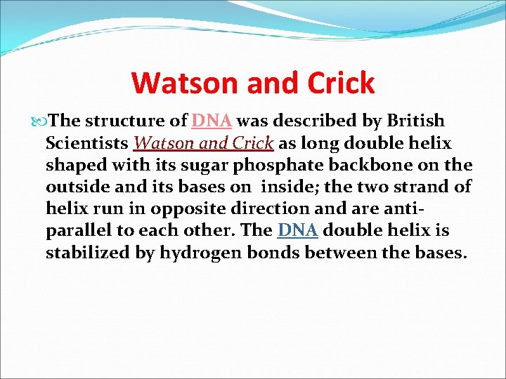 MOLECULAR GENETICS Watson and Crick The structure of