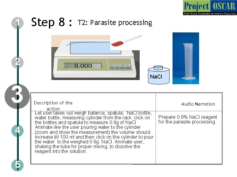 Methodology for the extraction of Plasmodium protein Extraction