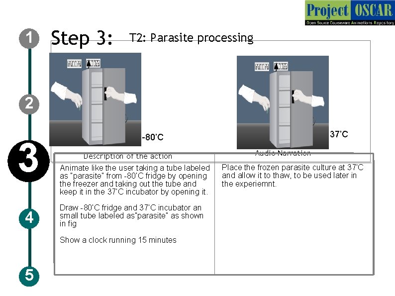 Methodology for the extraction of Plasmodium protein Extraction