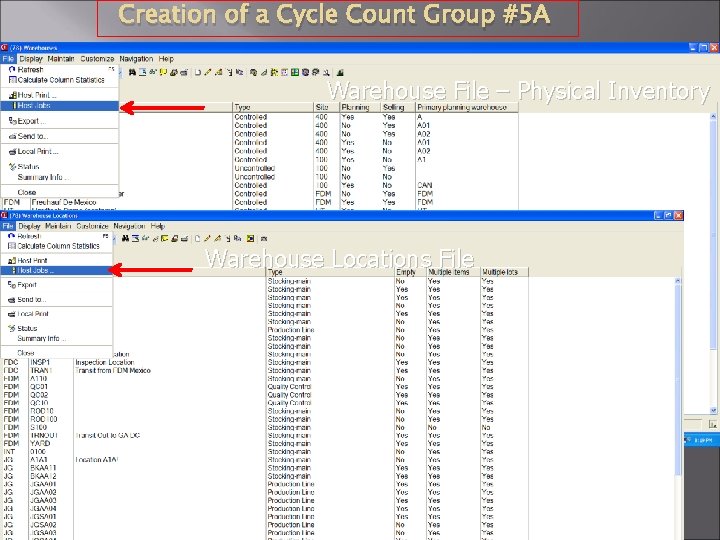 MAPICS XA Cycle Counting in Materials Management Presented