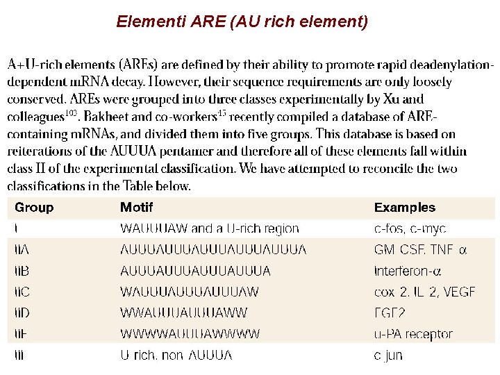 Elementi ARE AU rich element AREbinding proteins Protein