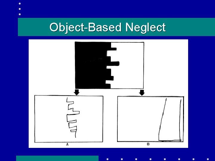 Psych 216 Movement Attention What is attention There