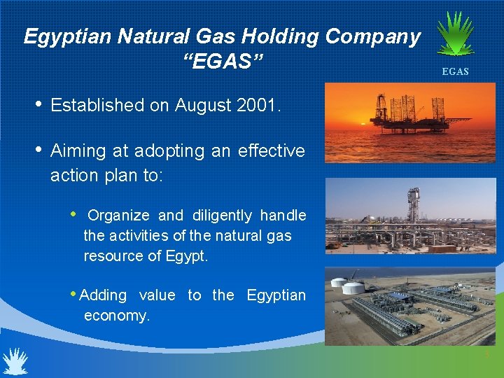 EGAS Damietta 2 nd February 2010 Organization of