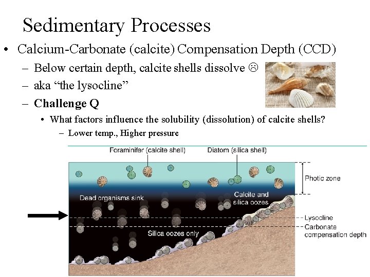 CHAPTER 5 OCEAN Sediments HOMEWORK 1 DUE Long