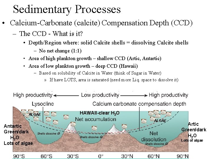 CHAPTER 5 OCEAN Sediments HOMEWORK 1 DUE Long