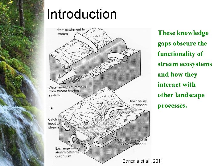Integrating Solute Transport Stream Metabolism and Nutrient Retention