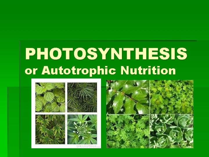 PHOTOSYNTHESIS or Autotrophic Nutrition PHOTOSYNTHESIS PHOTOSYNTHESIS ...