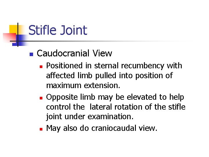 Small Animal Pelvis and Hind Limb Radiology Pelvis