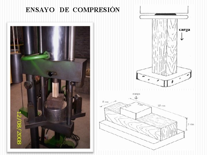 CARACTERSTICAS FSICAS Y MECNICAS DE LAS MADERAS Caractersticas