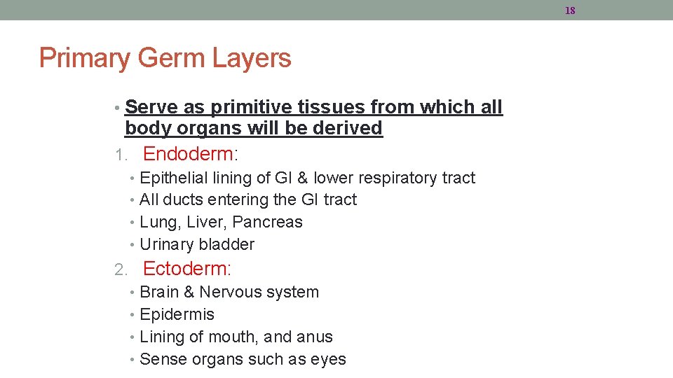 1 BI 233 Laboratory Human Development 2 Spermatogenesis
