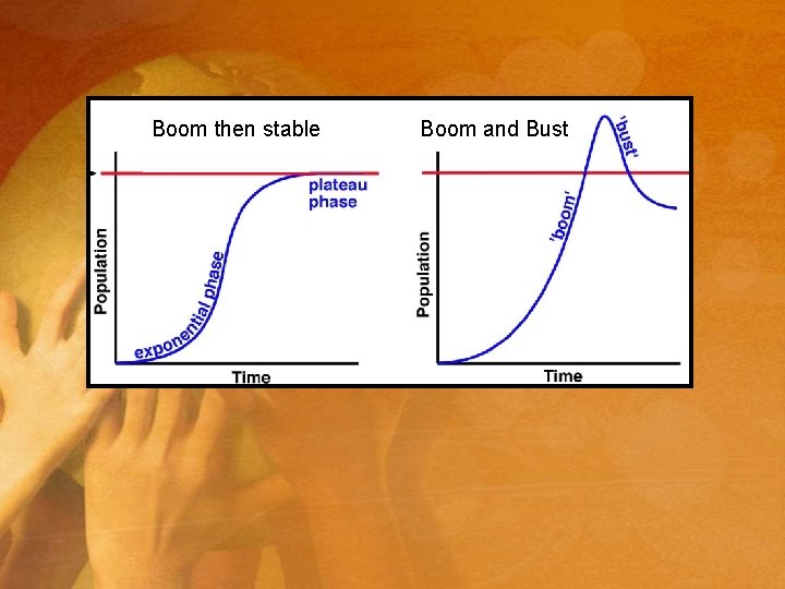 POPULATION DYNAMICS LEVELS OF ORGANIZATION one smallest group