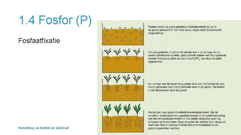Bemesting van bodem en substraat Voedingselementen 1 Voedingselementen