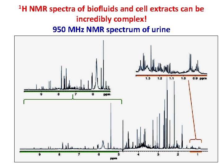 Nuclear Magnetic Resonance the NMR Platform N Rama