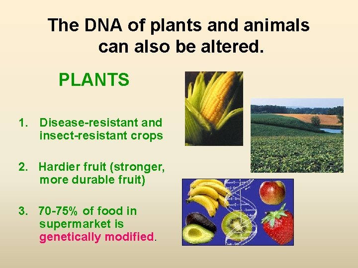 DNA Technology The Human Genome Project Recombinant DNA