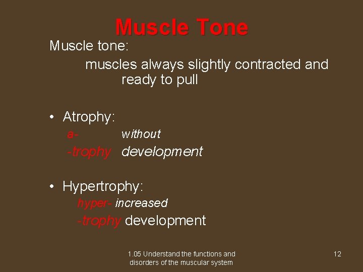 1 05 Understand the characteristics of the muscular