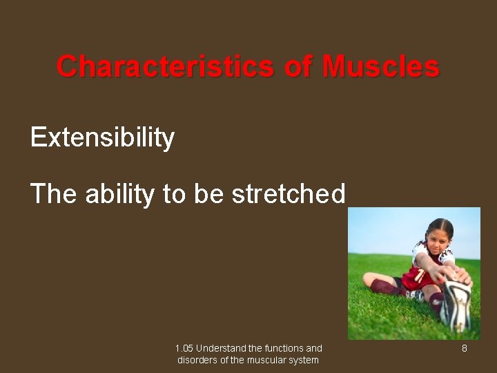 1 05 Understand the characteristics of the muscular