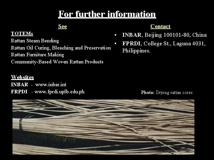 TRANSFER OF TECHNOLOGY MODEL RATTAN STEAM BENDING UNIT