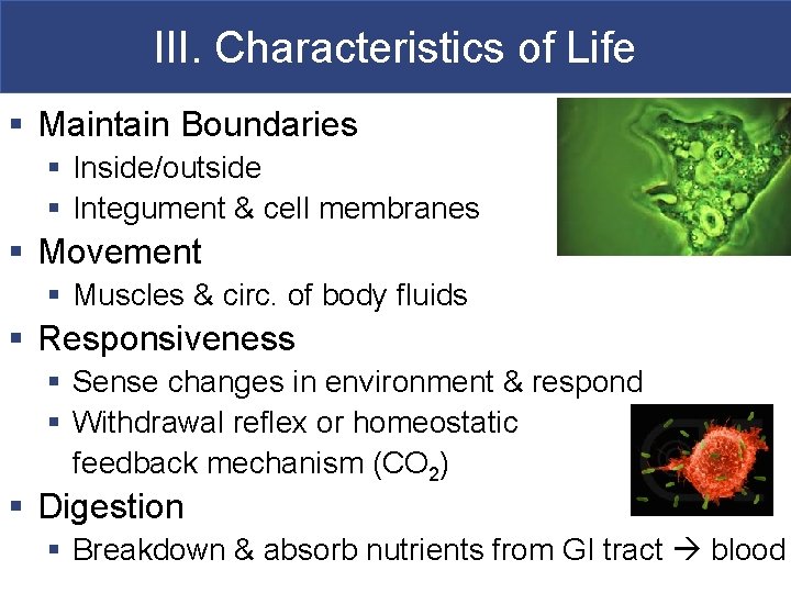 Chapter 1 Introduction to Physiology Levels of Organization