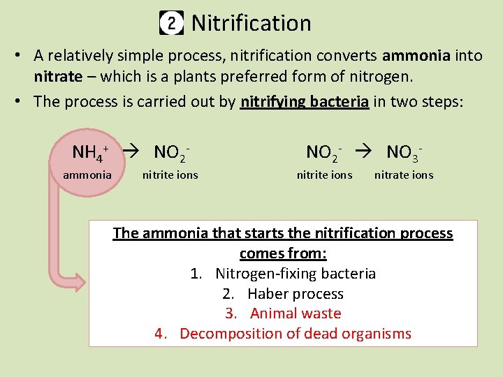 The Nitrogen Cycle Revision Learning Objectives To understand