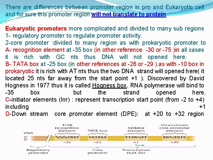 The 5 th lecture in molecular biology by