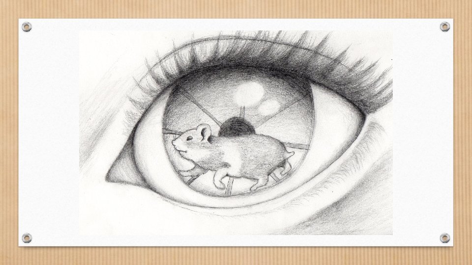 Surrealism The Surreal Eye Surrealism a 20 thcentury