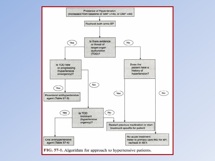 Hypertension Crisis Case Scenario A 50 yearold man