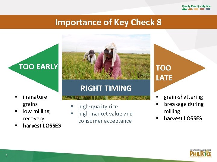 PALAYCHECK SYSTEM FOR IRRIGATED LOWLAND RICE As of