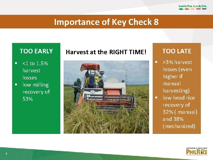 PALAYCHECK SYSTEM FOR IRRIGATED LOWLAND RICE As of