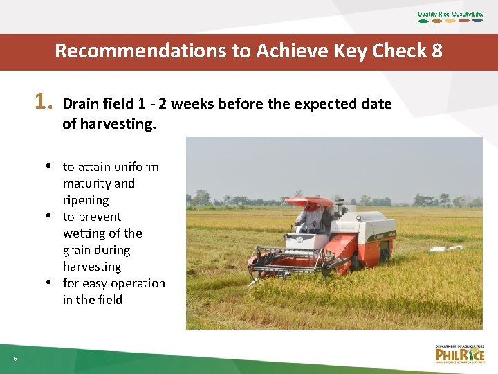 PALAYCHECK SYSTEM FOR IRRIGATED LOWLAND RICE As of