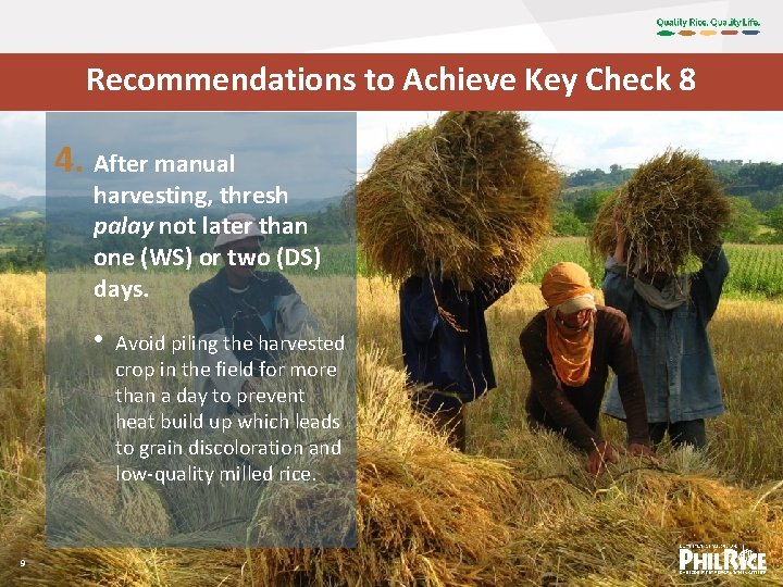 PALAYCHECK SYSTEM FOR IRRIGATED LOWLAND RICE As of