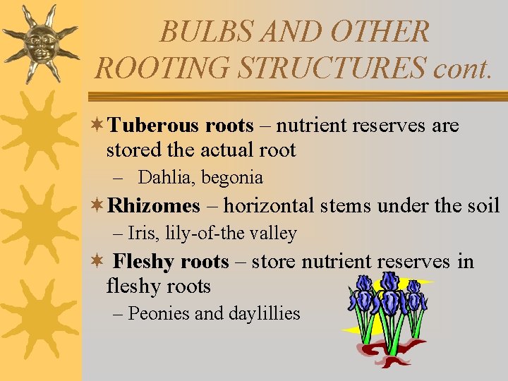 USING PLANTS IN THE LANDSCAPE BULBS SECTION 7