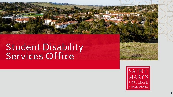 Student Disability Services Office 1 THE SDS TEAM