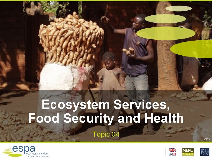 Ecosystem Services Food Security and Health Topic 04