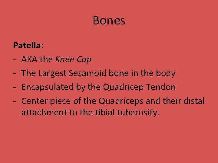 Knee Review Major Points Mr Brewer Knee Facts