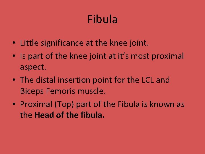 Knee Review Major Points Mr Brewer Knee Facts