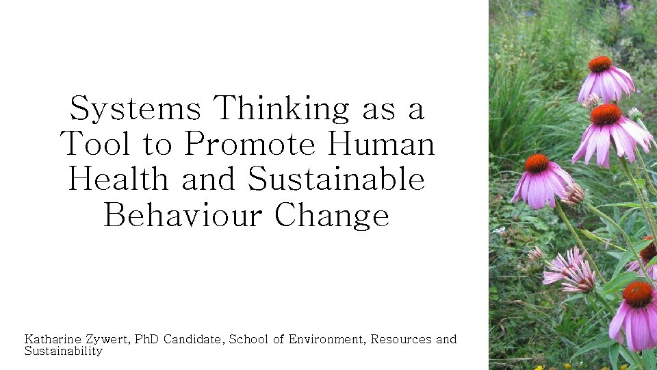 Systems Thinking as a Tool to Promote Human
