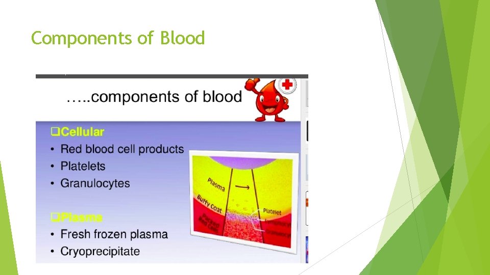 Preparation of blood components and their use Introduction