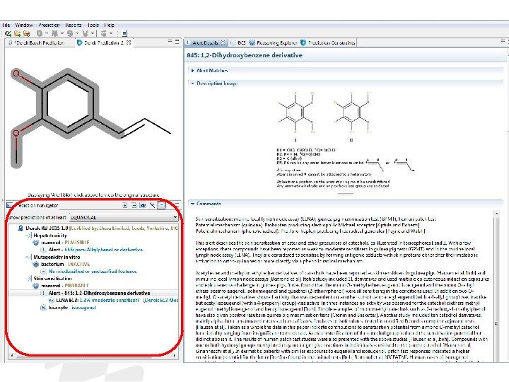 Using Derek Nexus to assess the safety of