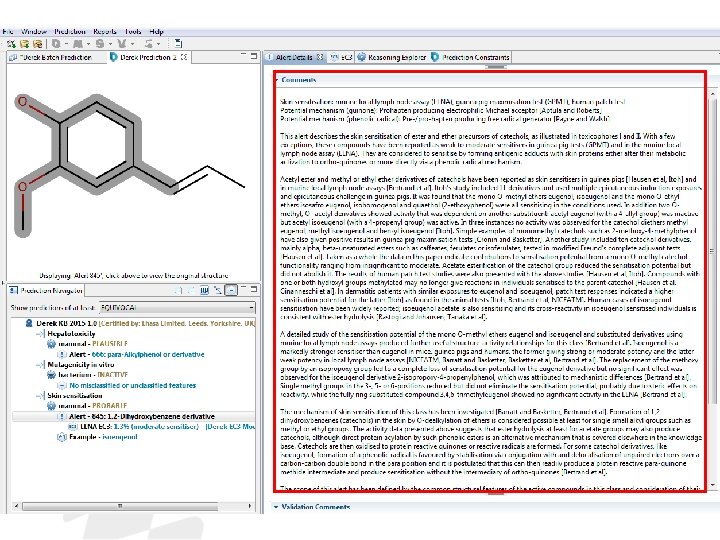 Using Derek Nexus to assess the safety of