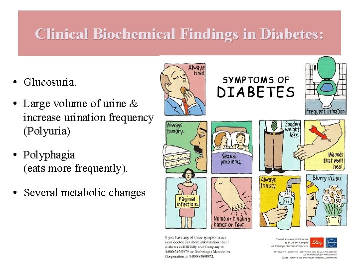 Lab 7 Diabetic profile KAUFaculty of Science Biochemistry