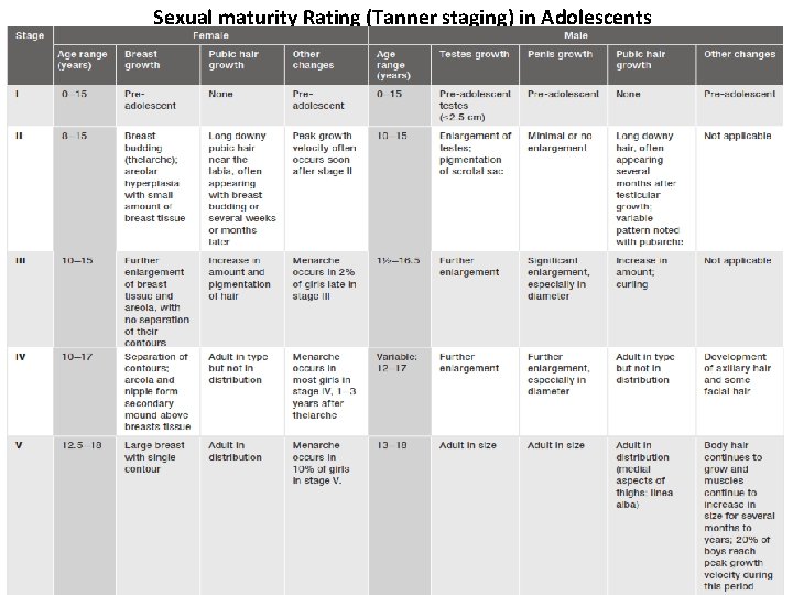 Disorders of the Testes Male Reproductive System Dr
