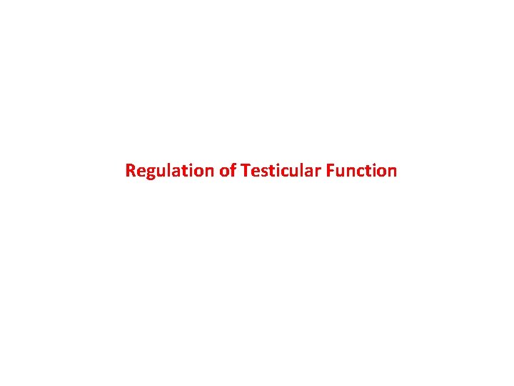 Disorders of the Testes Male Reproductive System Dr