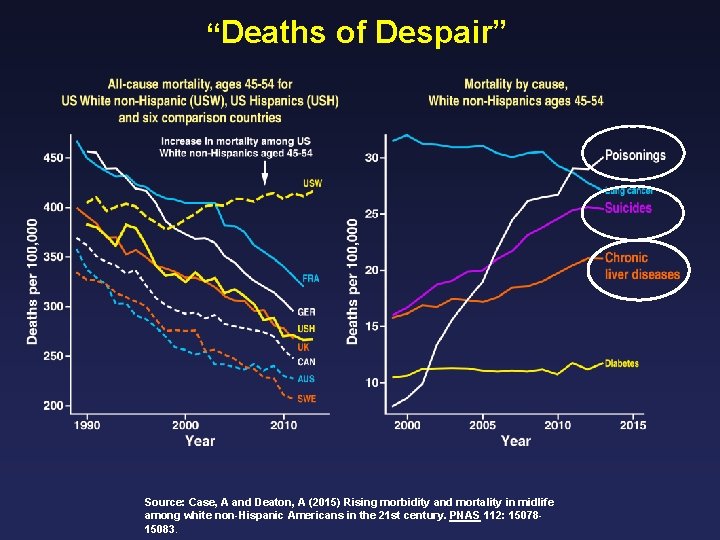 Neurobiology of Addiction The Gain in the Brain