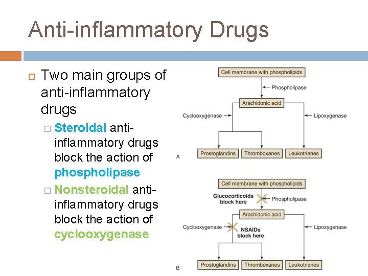 ANTIINFLAMMATORY PAINREDUCING DRUGS Chapter 16 Basic Physiology ...