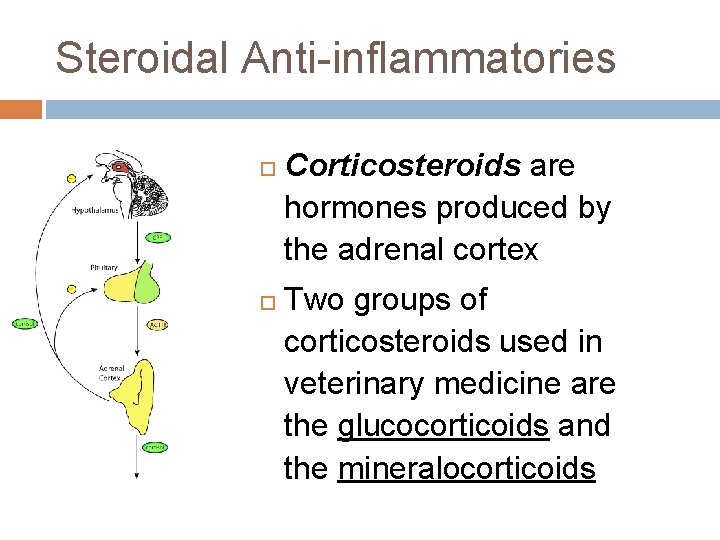 ANTIINFLAMMATORY PAINREDUCING DRUGS Chapter 16 Basic Physiology ...