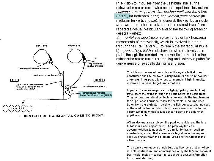 LAB 7 VISION EYEBALL MOVEMENT AND BALANCE SYSTEMS